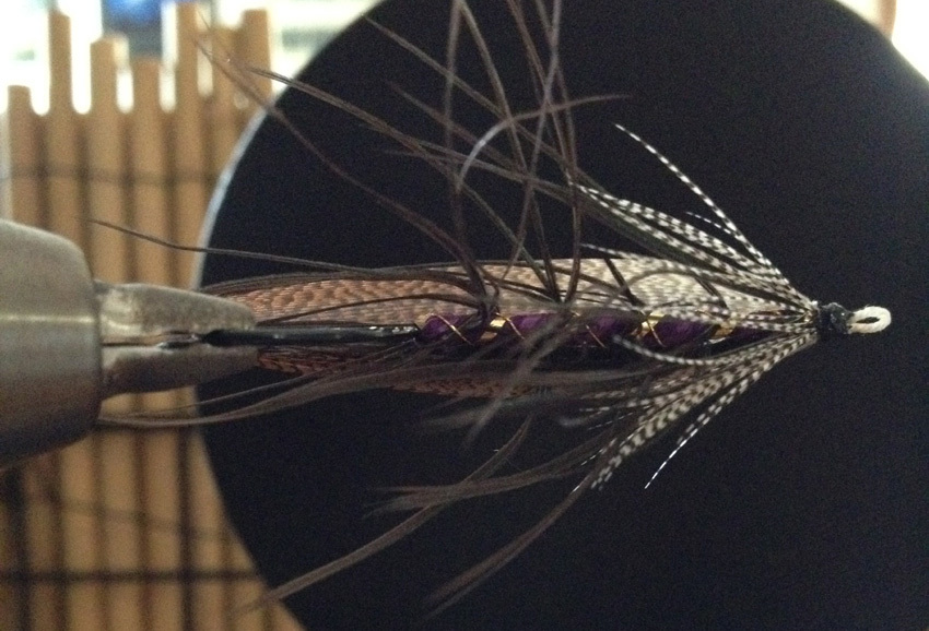 Spey Wing(ウイングの種類⑧): Salmon Fly Patterns