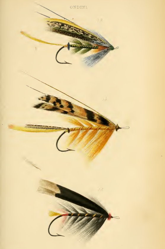 Ephemera: Salmon Fly Patterns