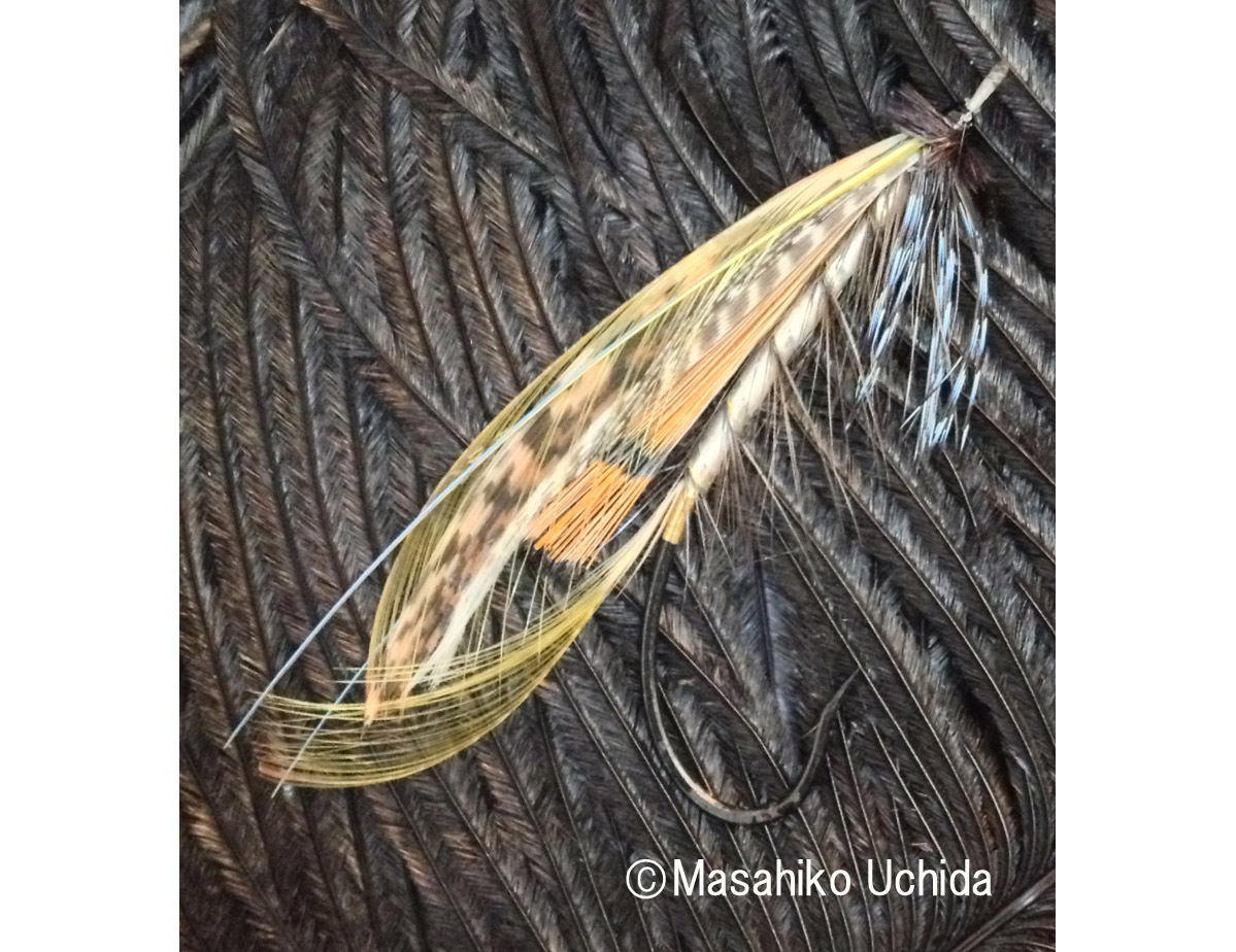 Ephemera's No.11: Salmon Fly Patterns