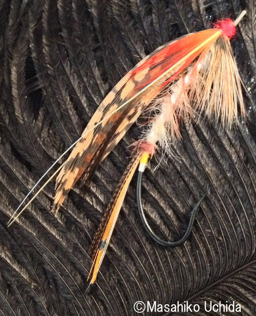 Ephemera's No.12 Jackass: Salmon Fly Patterns