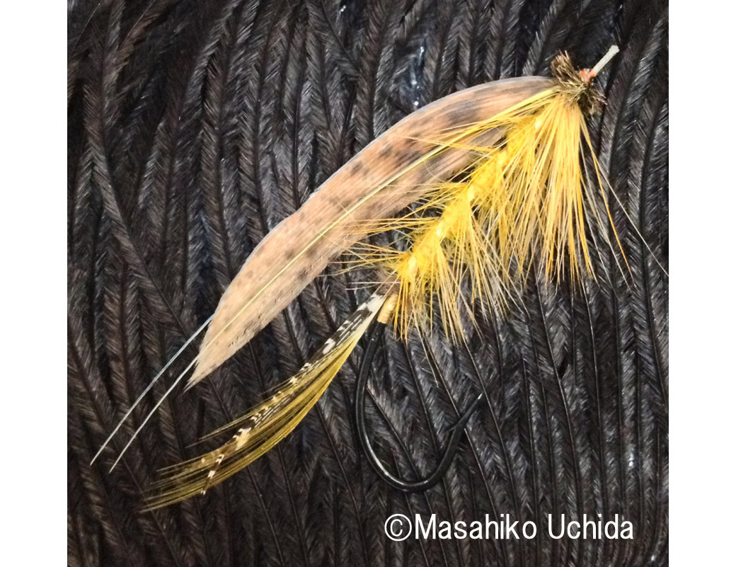 Ephemera's No.14: Salmon Fly Patterns