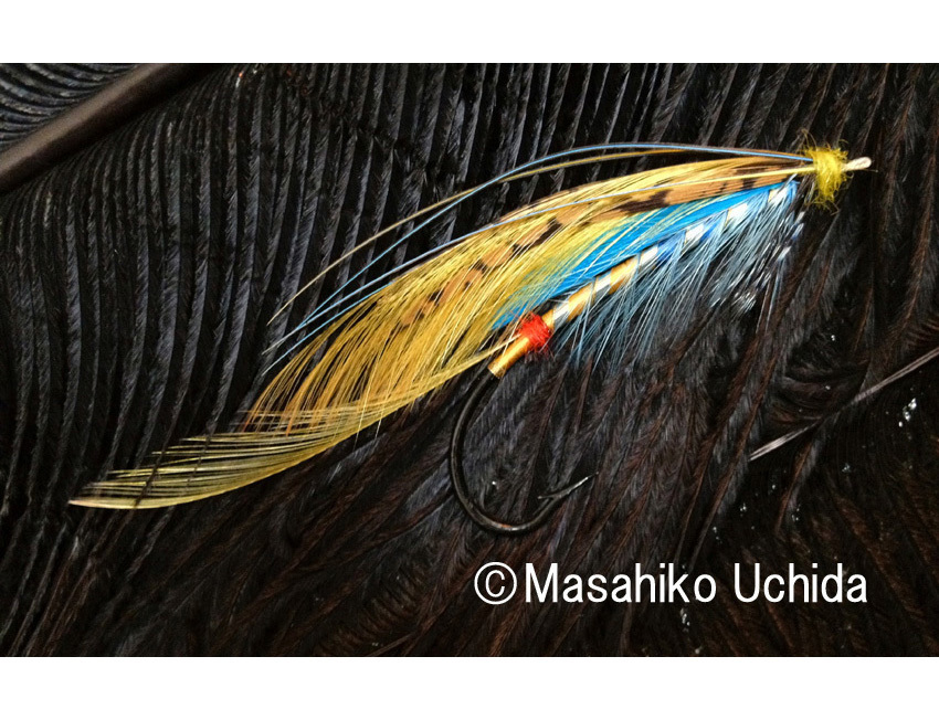 Ephemera's No.4 Shannon: Salmon Fly Patterns